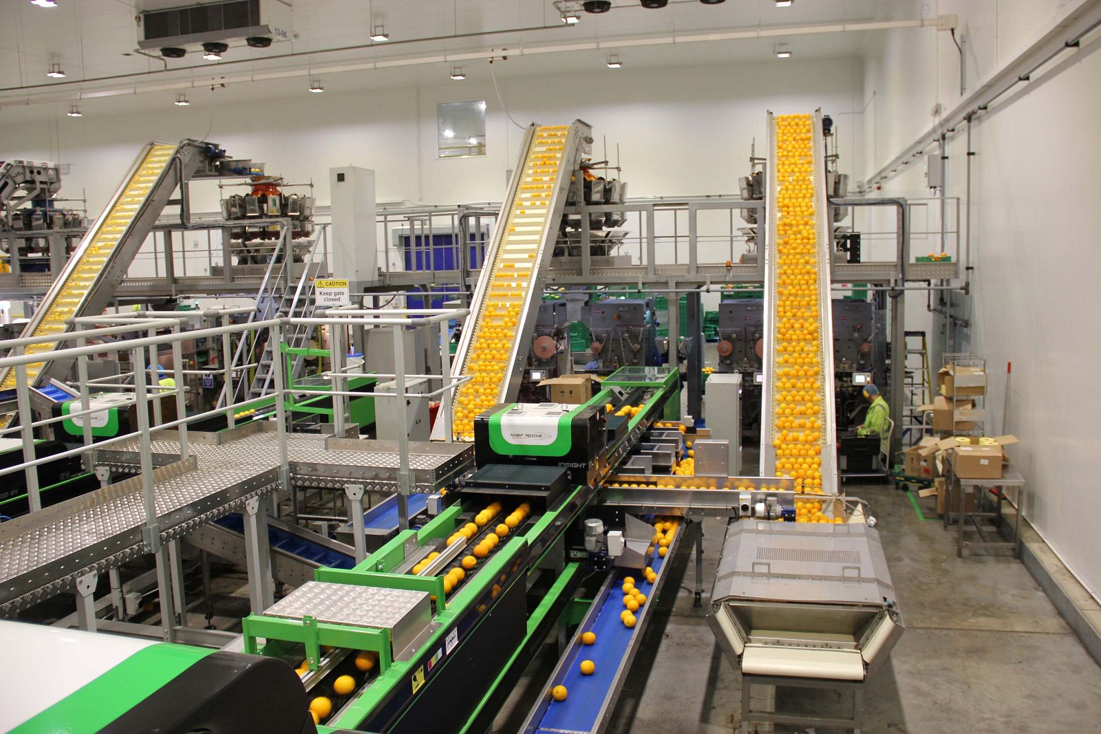 Primafruit chilled produce processing and packing facility.