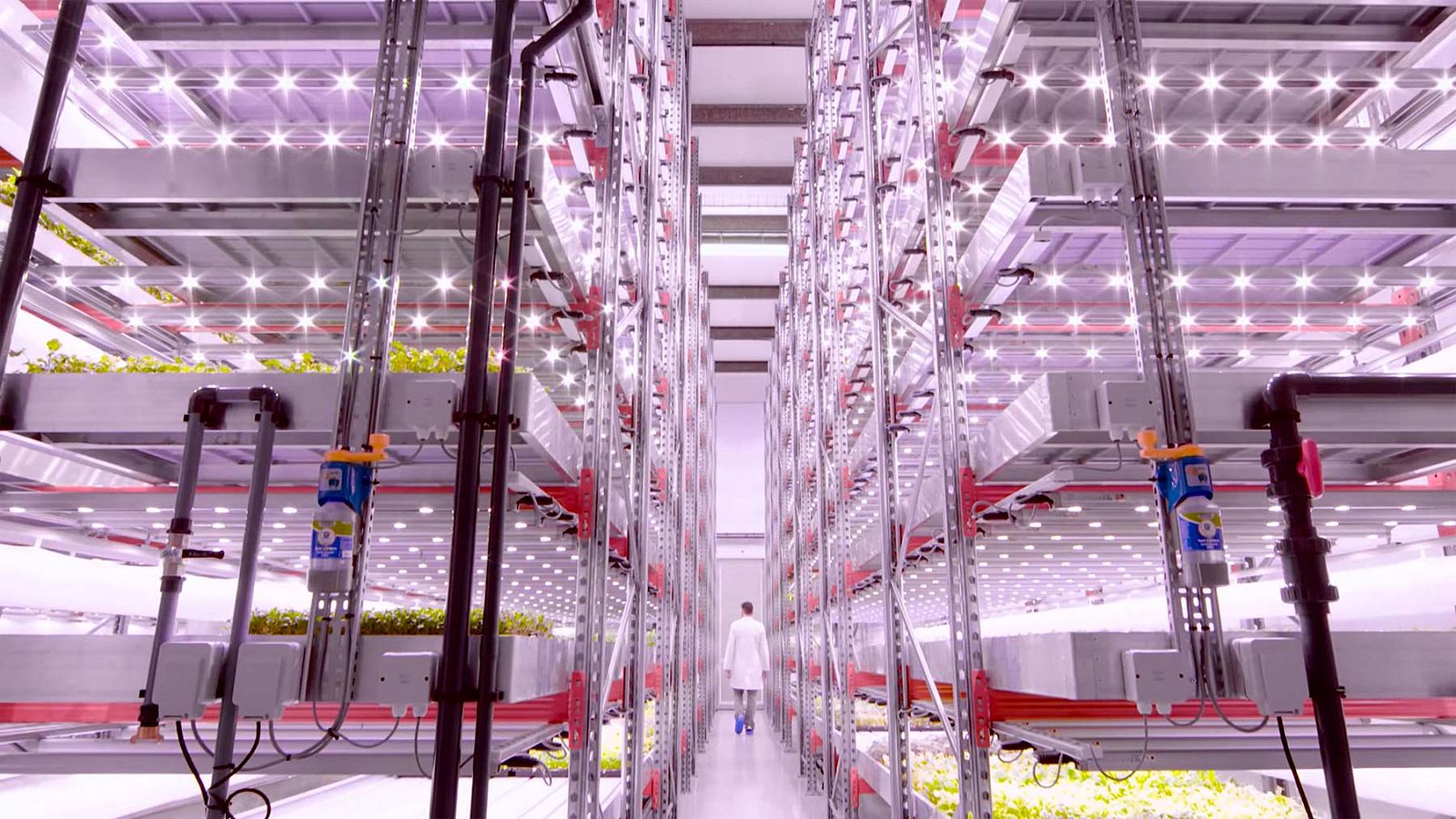 GrowUp vertical farm in Kent